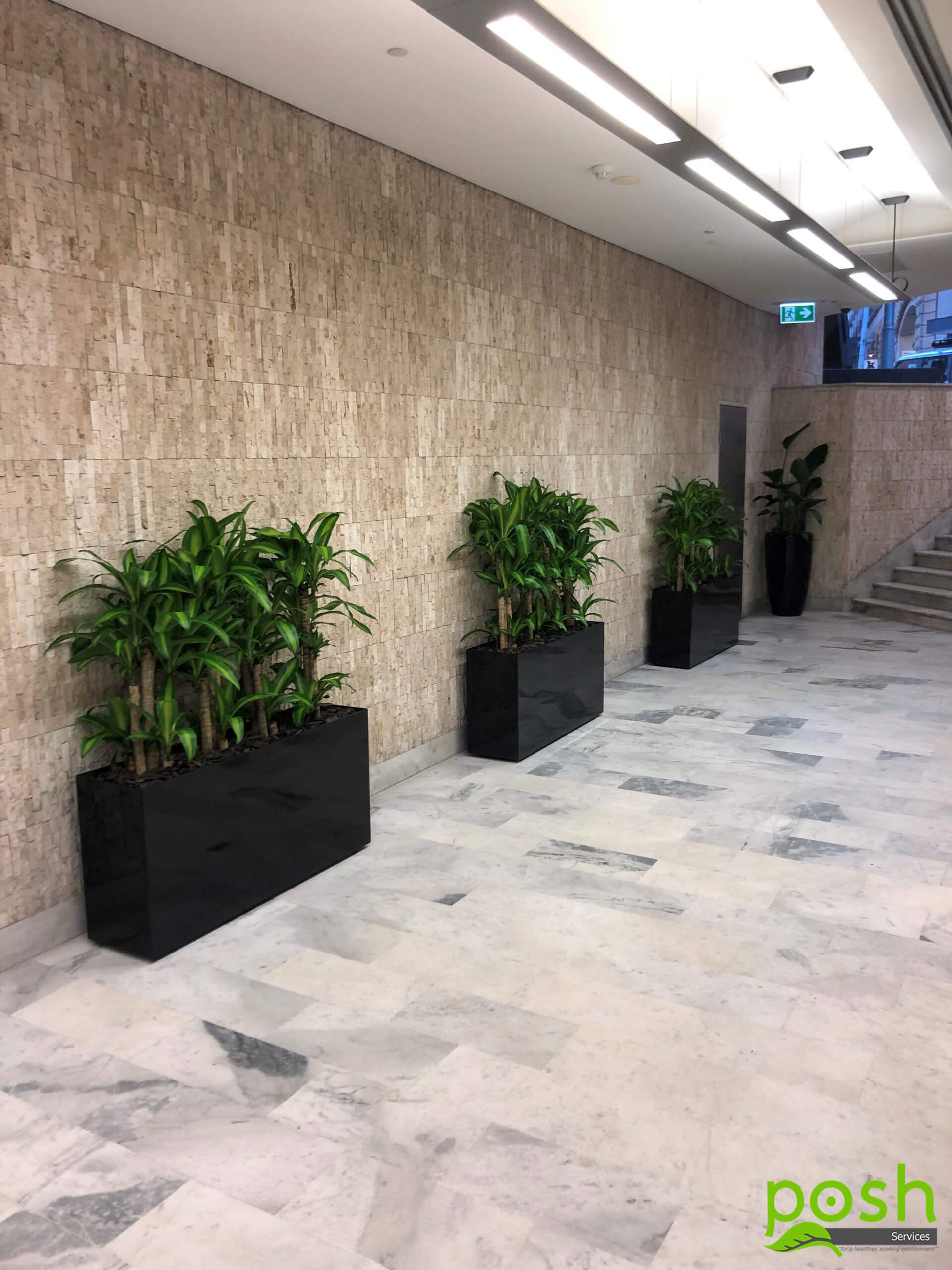 Indoor Plant Hire - Posh Services
