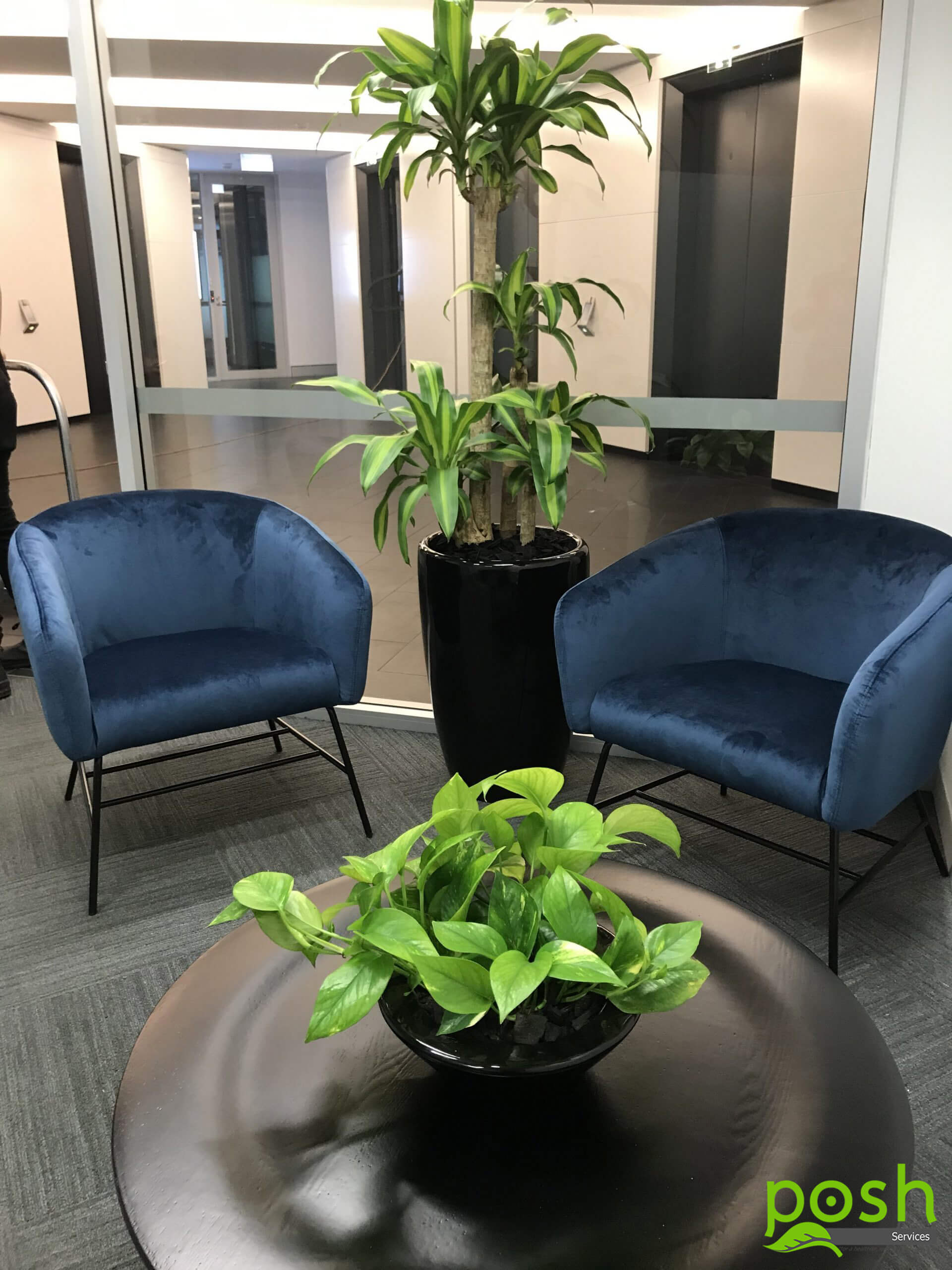 About Us - Posh Services