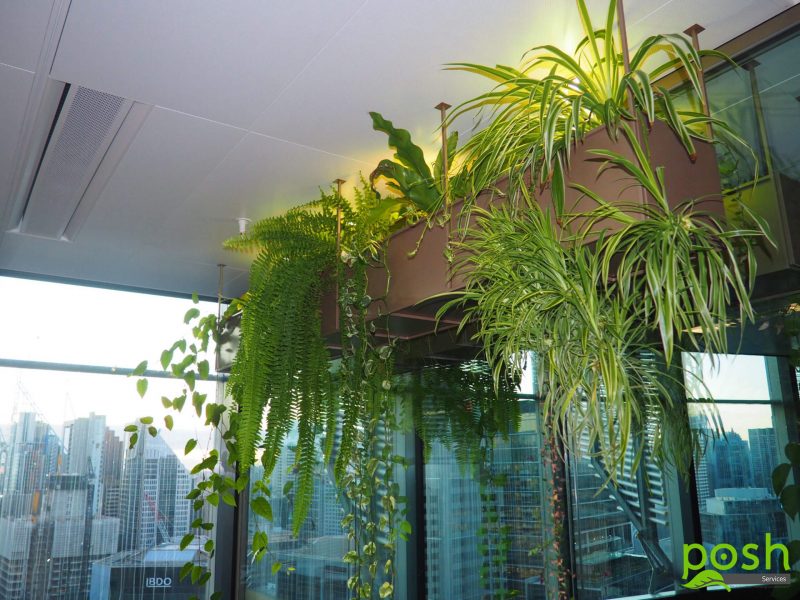 Project Gallery - Posh Services